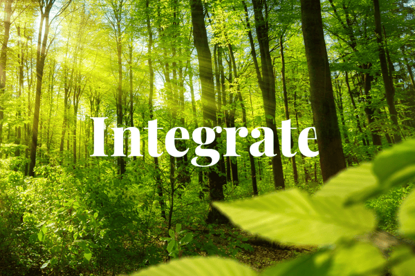 The roots of a sustainable future: integrating trees into a circular economy